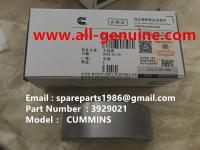 China 3929021 MAIN BEARING  ENGINE TEREX NHL DUMP TRUCK  TR35 TR50 TR60 TR100 3305B 3305F 3303 3307 TR45 TR70 MT4400 for sale