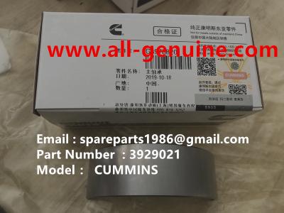 China 3929021 MAIN BEARING  ENGINE TEREX NHL DUMP TRUCK  TR35 TR50 TR60 TR100 3305B 3305F 3303 3307 TR45 TR70 MT4400 for sale