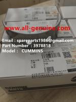 China 3978818 MAIN BEARING  ENGINE TEREX NHL DUMP TRUCK  TR35 TR50 TR60 TR100 3305B 3305F 3303 3307 TR45 TR70 MT4400 for sale