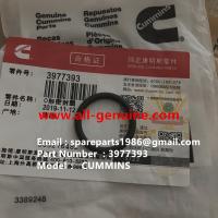 China 3977393 O RING  ENGINE TEREX NHL DUMP TRUCK  TR35 TR50 TR60 TR100 3305B 3305F 3303 3307 TR45 TR70 MT4400 for sale
