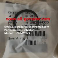 China 3920691 RING  ENGINE TEREX NHL DUMP TRUCK  TR35 TR50 TR60 TR100 3305B 3305F 3303 3307 TR45 TR70 MT4400 for sale