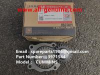 China 3971544 FUEL PUMP  ENGINE TEREX NHL DUMP TRUCK  TR35 TR50 TR60 TR100 3305B 3305F 3303 3307 TR45 TR70 MT4400 for sale