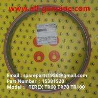 China 15381520  SEAL ASSY  TEREX NHL DUMP TRUCK TR35 TR50 TR60 TR100  ALLISON UNIT RIG MT4400 MT3600 MT3300 MT3700 SANY for sale