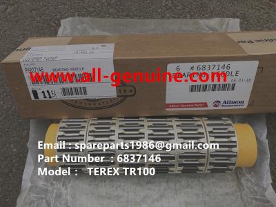 China 6837146 BEARING ALLISON TRANSMISSION TEREX NHL DUMP TRUCK  TR35 TR50 TR60 TR100 3305B 3305F 3303 3307 TR45 TR70 MT4400 for sale