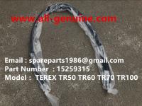 China TEREX 15259315  HOSE ASSY  MINING  NHL DUMP TRUCK TR35 TR50 TR60 TR100 3305B 3305F 3303 3307 TR45 TR70 MT4400 CUMMINS for sale