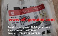 China 4371892 SEAL NHL DUMP TRUCK TR35 TR50 TR60 TR100 3305B 3305F 3303 3307 TR45 TR70 TEREX ALLISON UNIT RIG MT4400 for sale