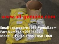 China TEREX 09396507 OVERHAUL KIT NHL DUMP TRUCK TR35 TR50 TR60 TR100 3305B 3305F 3303 3307 TR45 TR70 MT4400  ALLISON for sale