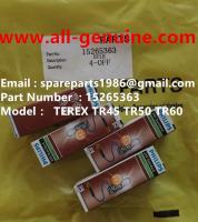 China TEREX 15265363 BULB NHL DUMP TRUCK TR35 TR50 TR60 TR100 3305B 3305F 3303 3307 TR45 TR70 MT4400 for sale