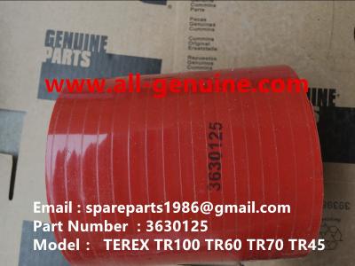 China CUMMINS ENGINE TEREX 3630125 PLAIN HOSE TR50 TR60 TR70 MINING OFF HIGHWAY TRUCK for sale