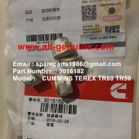 China TEREX  3016182 LOCK NUT NHL DUMP TRUCK TR35 TR50 TR60 TR100 3305B 3305F 3303 3307 TR45 TR70 MT4400 ALLISON for sale