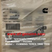 China TEREX  3522904 WASHER   NHL DUMP TRUCK TR35 TR50 TR60 TR100 3305B 3305F 3303 3307 TR45 TR70 MT4400 ALLISON for sale