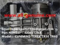 China 4306517NX FUEL PUMP TEREX DUMP TRUCK TR35 TR50 TR60 TR100 3305B 3305F 3303 3307 TR45 TR70 MT4400 for sale