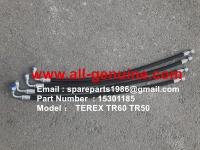 China TEREX 15301185 HOSE NHL MINING DUMP TRUCK TR35 TR50 TR60 TR100 3305B 3305F 3303 3307 TR45 TR70 MT4400 for sale