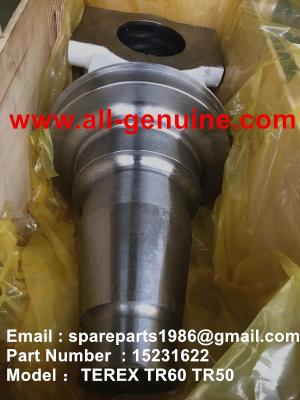China TEREX 15231622 SPINDLE LH OFF HIGHWAY NHL MINING DUMP TRUCK TR35 TR50 TR60 TR100 3305B 3305F 3303 3307 TR45 TR70 MT4400 for sale