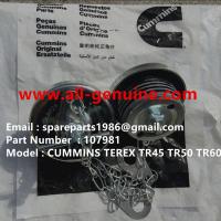 China TEREX 107981 FILLER CAP  NHL MINING DUMP TRUCK TR35 TR50 TR60 TR100 3305B 3305F 3303 3307 TR45 TR70 MT4400 for sale