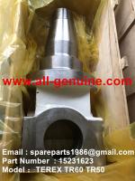 China TEREX 15231623 SPINDLE RH OFF HIGHWAY NHL MINING DUMP TRUCK TR35 TR50 TR60 TR100 3305B 3305F 3303 3307 TR45 TR70 MT4400 for sale