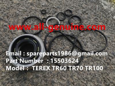 China 15503624 SERVICE KIT  TEREX NHL DUMP TRUCK TR100 HAULER TRUCK OFF HIGHWAY for sale