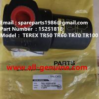 China TEREX 15251818 FILTER ASSY  NHL MINING DUMP TRUCK TR35 TR50 TR60 TR100 3305B 3305F 3303 3307 TR45 TR70 MT4400 for sale