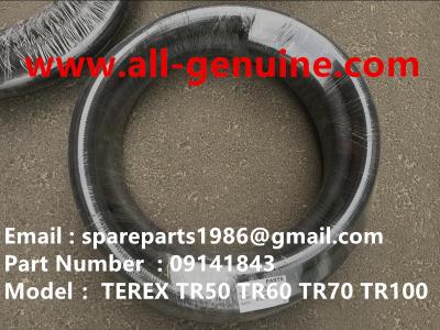China TEREX 09141843 HOSE OFF HIGHWAY NHL DUMP TRUCK TR35 TR50 TR60 TR100 3305B 3305F 3303 3307 TR45 TR70 MT4400 for sale