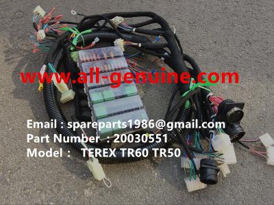 China TEREX 20030551 HARNESS DASH  MINING NHL DUMP TRUCK TR35 TR50 TR60 TR100 3305B 3305F 3303 3307 TR45 TR70 MT4400 for sale