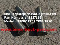 China 15237869 PIN TEREX NHL DUMP TRUCK TR35 TR50 TR60 TR100 3305B 3305F 3303 3307 TR45 TR70 MT4400 for sale