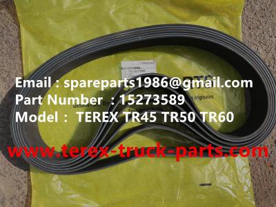 China TEREX 15273589 V BELT  OFF HIGHWAY NHL DUMP TRUCK TR35 TR50 TR60 TR100 3305B 3305F 3303 3307 TR45 TR70 MT4400 for sale