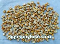 China BEIJING YIGLEE TECH Resistant Starch High Amylose Maize Starch Soluble Dietary Fiber for sale