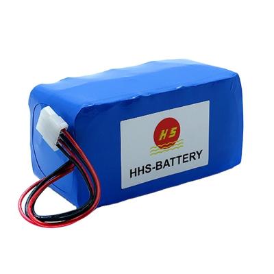 China High Temperature 48 Volt 1500w Vacuum Cleaner Battery Pack for sale