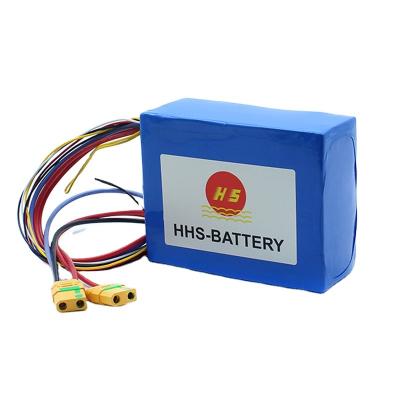 China 24v 12ah 6s AGV Battery Pack For Electric Bike for sale