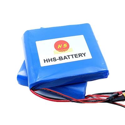 China Solowheel 16S1P 2.9Ah 60v Rechargeable Li Ion Battery for sale