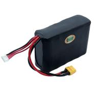 China 18650 Lightweight Custom Lithium Battery Packs 12V for sale