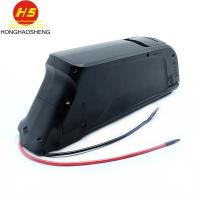 China Dolphin Case 48v 15ah 1000w E Bike Lithium Battery for sale