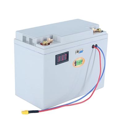 China 100 Amp Hour Lithium Ion 24 Volt LiFePO4 Storage Battery for sale