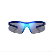 China Blue Color Polarized Photochromic Glasses Adult Size Protect Eyes Blocking Glare for sale