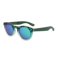 China Special Shape Lifestyle Sunglasses Pc Frame Colored Wooden Temple Material for sale