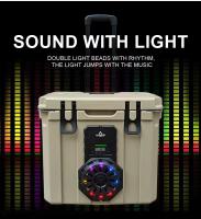 China New Design 35L Outdoor Insulated PE&PU Portable Music Speaker Cooler With Logo Pattern for sale