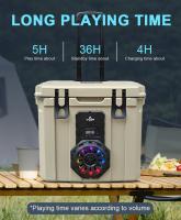 China New Design 35L Outdoor Insulated PE&PU Portable Music Speaker Cooler With Logo Pattern for sale