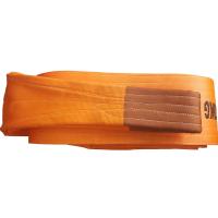 China Heavy Duty 10 Ton 10 Meter Flat Webbing Sling: 7:1 Safety Factor & EN 1492-1 Compliant for sale