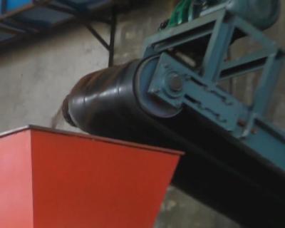 China dryer machine for sawdust,with auto-feeder and discharge conveyor for sale