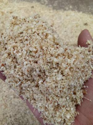 China Wood sawdust mill from direct factory at low cost for sale