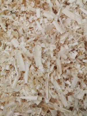 China Hot sell  large wood shaving machine at factory price for sale