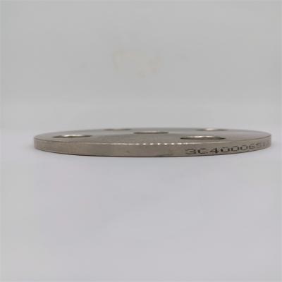 China ANSI DIN EN BS JIS ISO Forged Steel Flange For Oil Gas Pipeline for sale