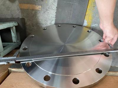 China Alloy Steel Blind Flange RF UNS 32760  12