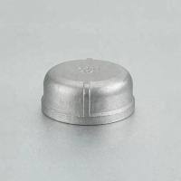 China Butt Welding Pipe Fittings Duplex Stainless Steel BW Cap 5