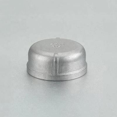 China Butt Welding Pipe Fittings Duplex Stainless Steel BW Cap 5