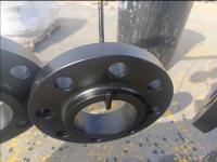 China Welding Neck Nickel Alloy Steel Flange 8