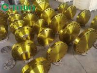 China TOBO A105 WN  RF/ BL RF FLANGE COATING AS YOU CUSTOMIZED for sale