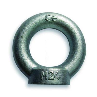 China Stainless steel DIN580 Lifting eye bolt DIN582 With Double Washer And Nut SS304 /SS316 for sale