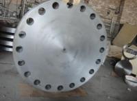 China BLFLG-2-600-F51 - BLIND FLANGE 2