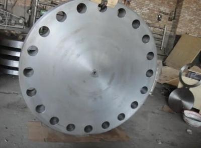 China BLFLG-2-600-F51 - BLIND FLANGE 2